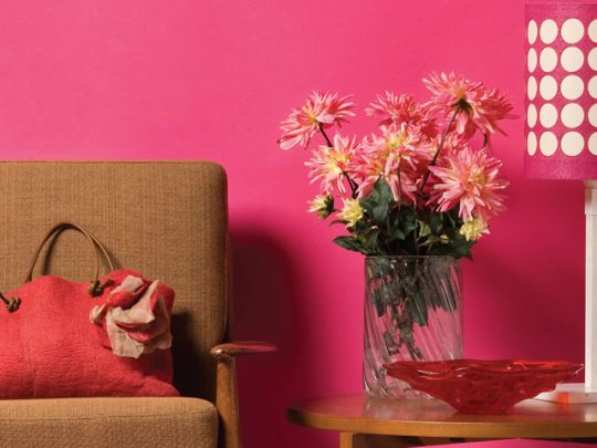 Ideas – Sigma Paints